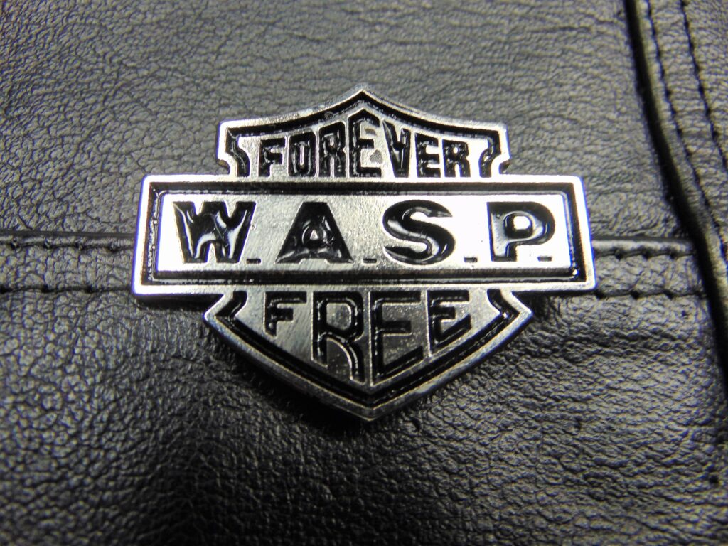 WASP Metal Pin / Badge (heavy metal) U.S.A 276 - Metal Devastation